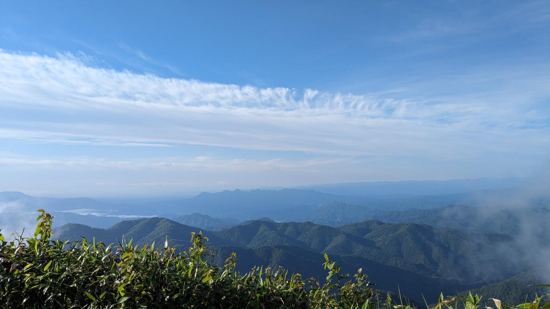 白砂山 / celorinさんの白砂山・堂岩山・八間山の活動日記 | YAMAP / ヤマップ