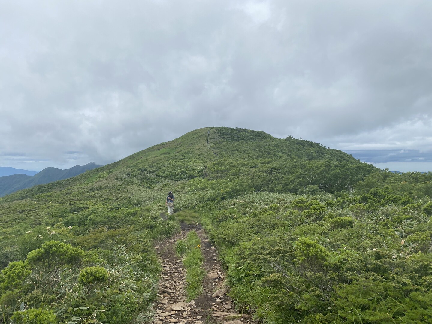 赤兎山2022.6.26 / hikaさんの赤兎山・猪鼻山の活動データ | YAMAP / ヤマップ