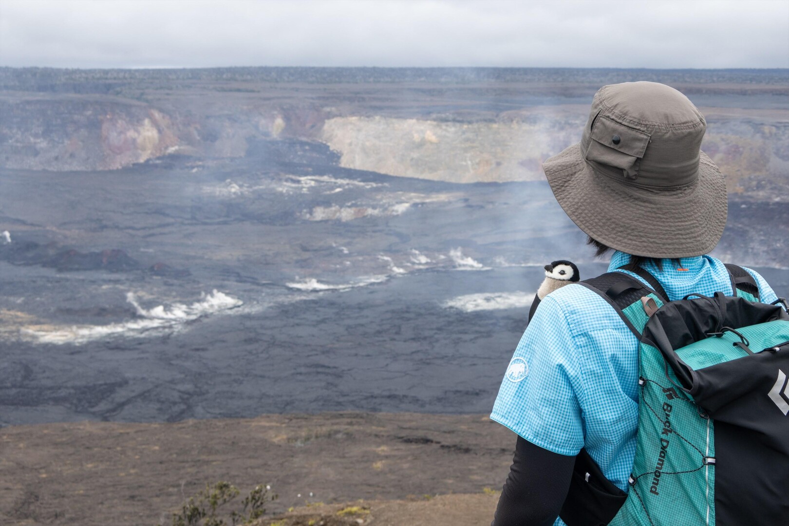 Uekahuna 〜 Kilauea Overlook / はるかさんのウォーキングの活動データ | YAMAP / ヤマップ