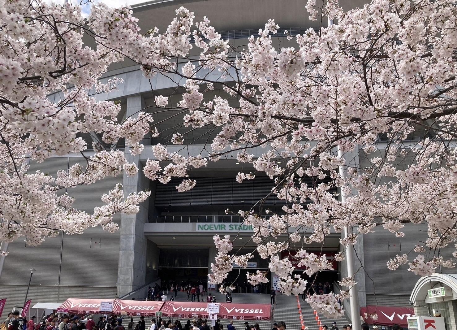 2024🌸SAKURA ①ノエビアス... / ちい⭐︎さんのモーメント | YAMAP / ヤマップ