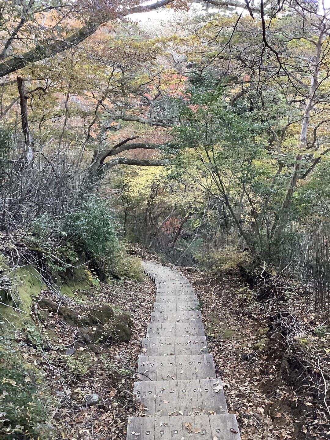 韓国岳（霧島山） / Marioさんの霧島山・韓国岳・高千穂峰・夷守岳・烏帽子岳の活動データ | YAMAP / ヤマップ