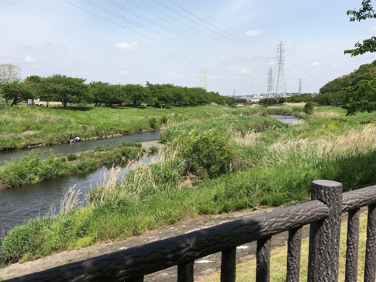 引地川（河口〜水源地）を歩く / とんとんすととんさんの藤沢市の活動データ | YAMAP / ヤマップ