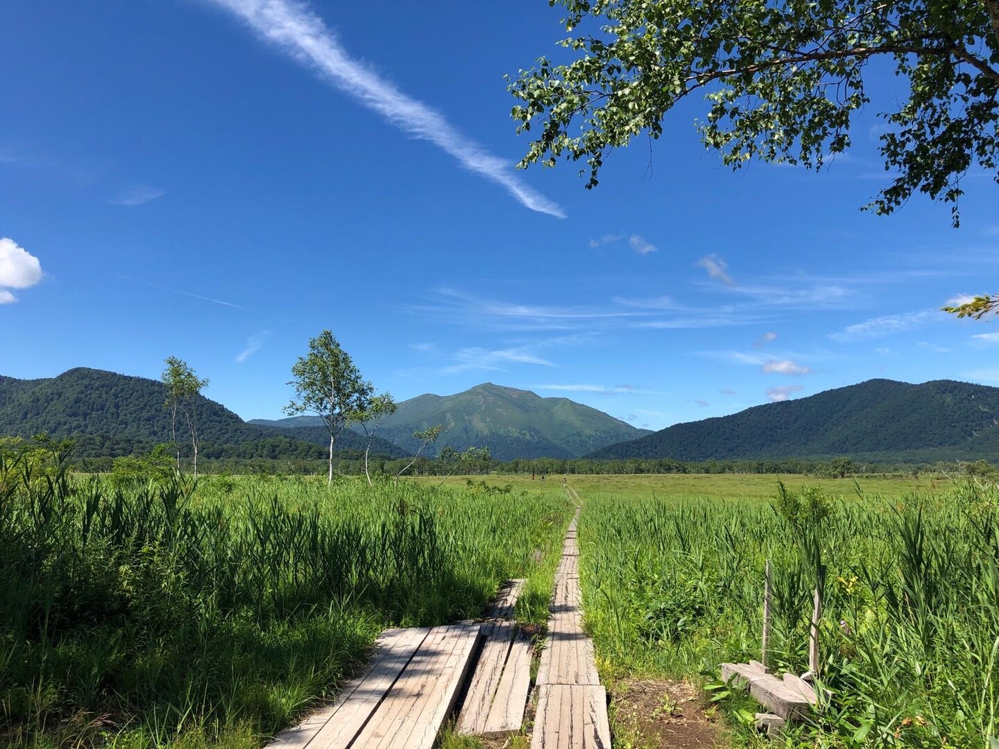 尾根沼から裏燧周回 / Jimamanさんの尾瀬・燧ヶ岳の活動データ | YAMAP / ヤマップ