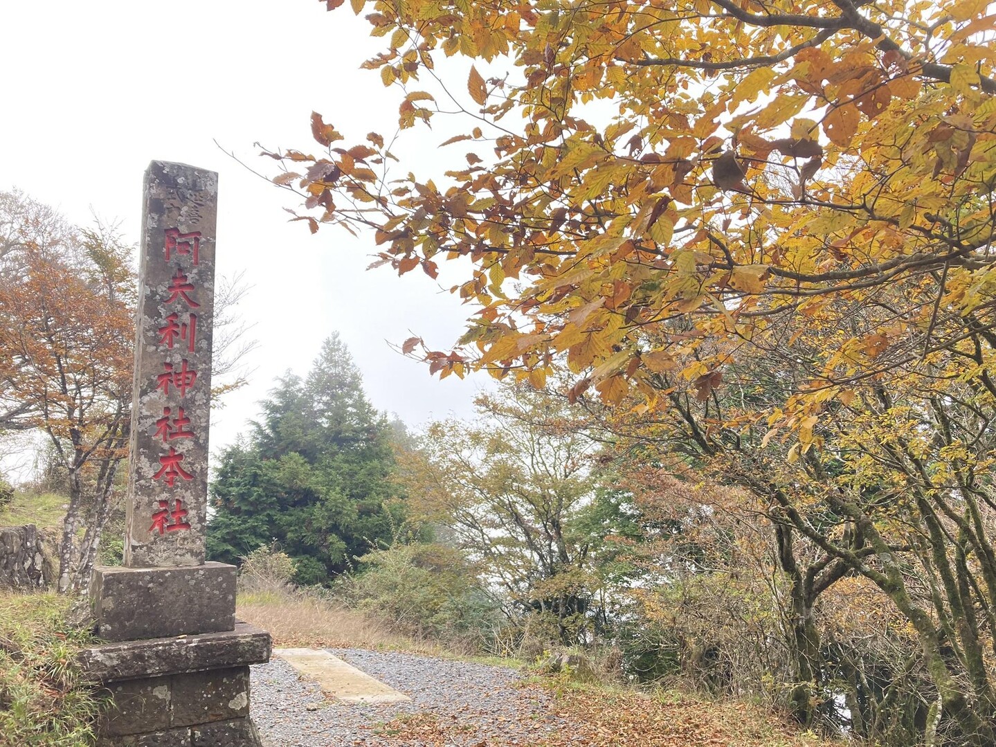 大山から大山 / TAOさんの大山の活動データ | YAMAP / ヤマップ