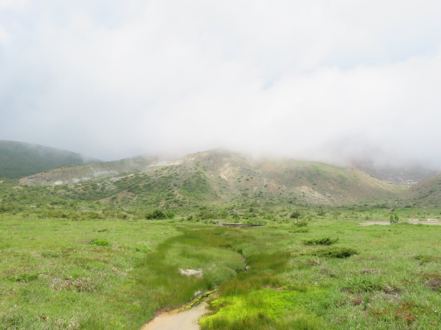 2021.07.07(水) 03:04 / ケロケロ🐸🐸🐸さんのモーメント | YAMAP / ヤマップ