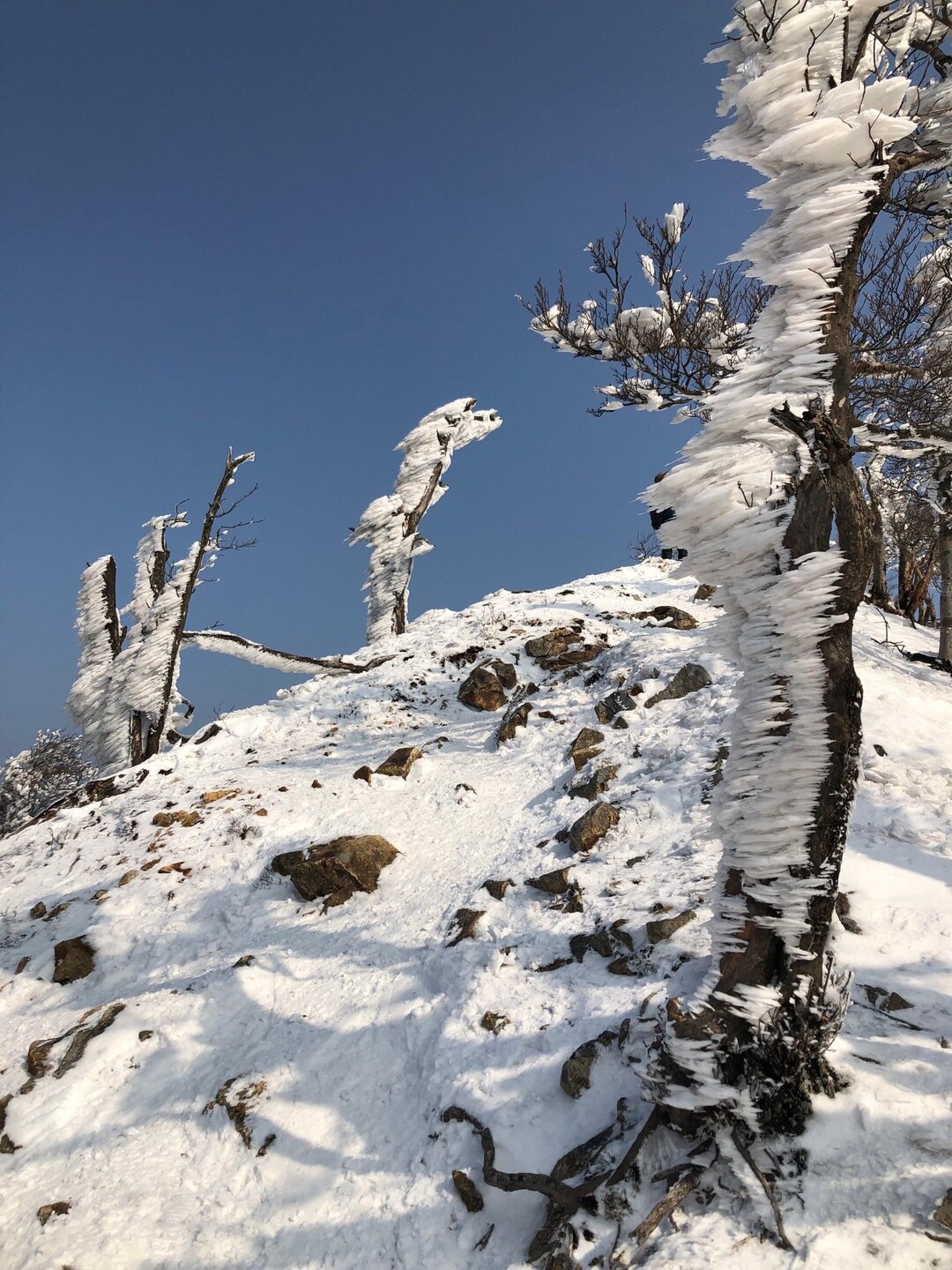 奈良 高見山⛄️🥾ハイキング / sasaさんの高見山・黒石山・天狗山の活動データ | YAMAP / ヤマップ