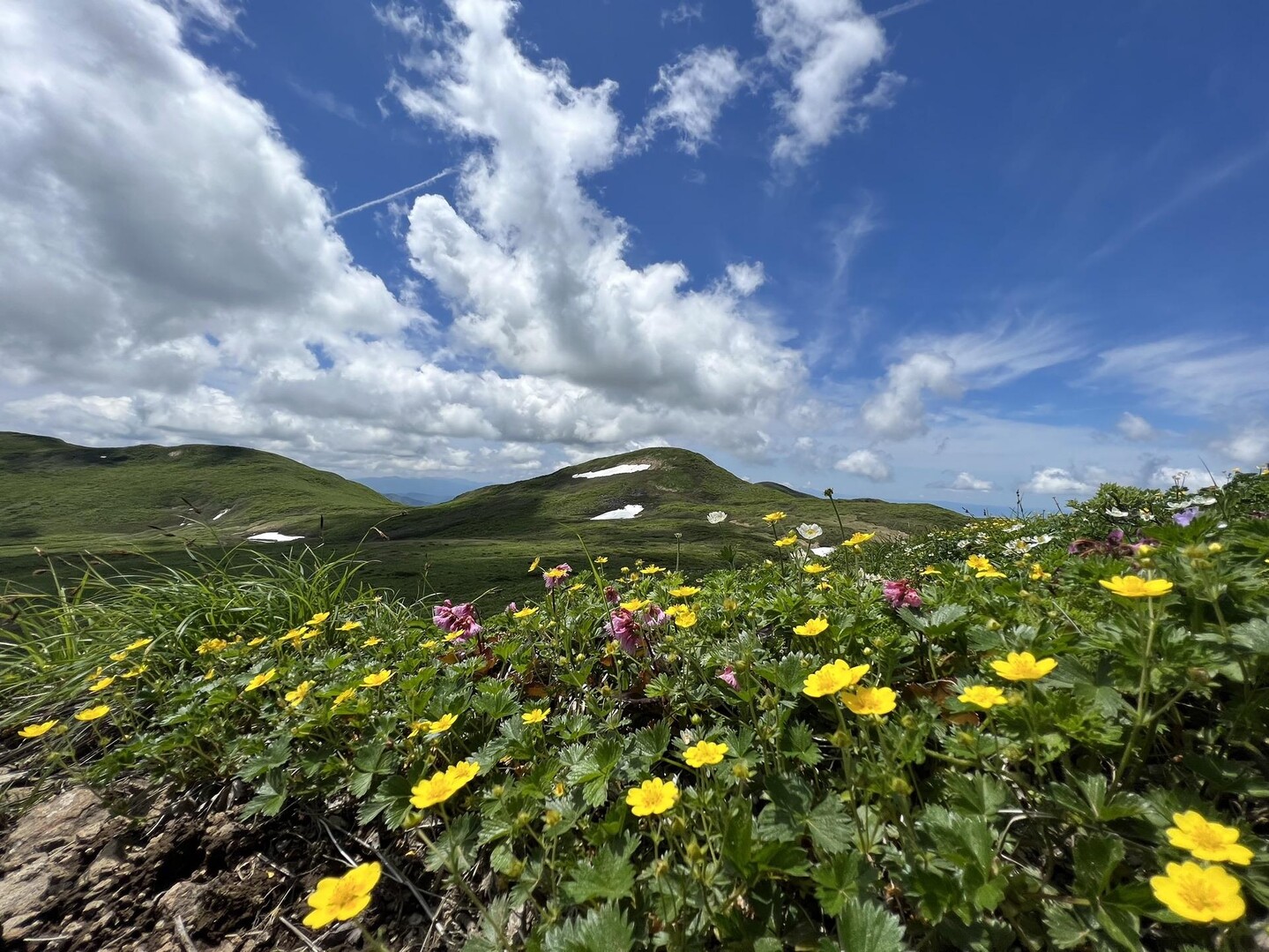 【岩手・焼石岳】中沼コースピストン / yanagi_outdoorさんの焼石岳・兎森山・鷲ヶ森山の活動データ | YAMAP / ヤマップ