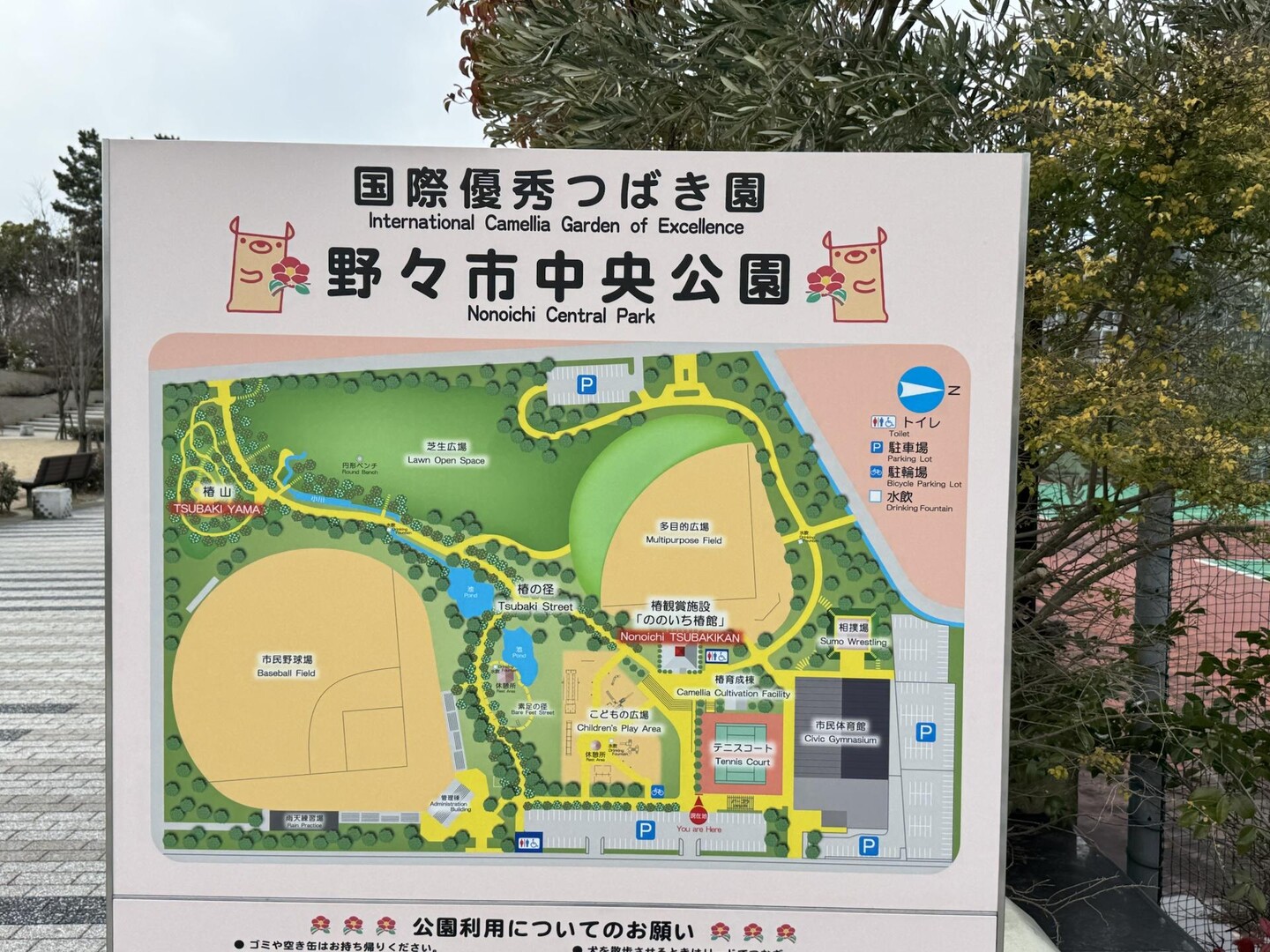 野々市中央公園•椿山 2025-2-2 / jt0450さんの奥獅子吼山・口三方岳・烏帽子山の活動データ | YAMAP / ヤマップ
