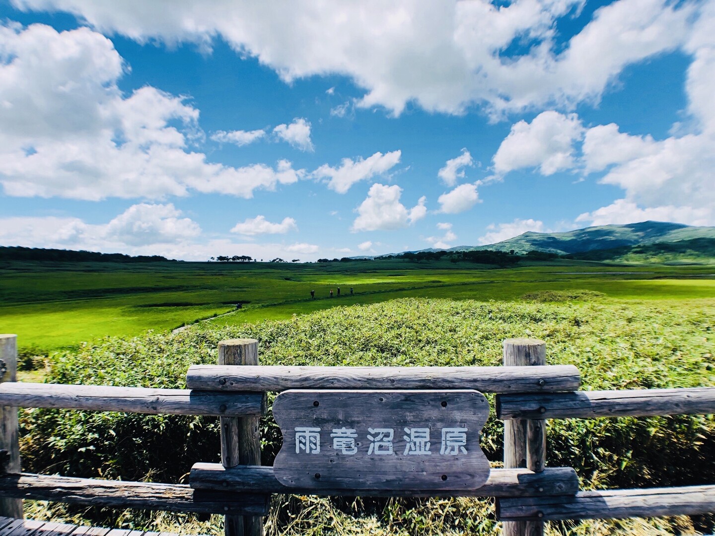 2020年7月 クソ暑かったの覚えてます... / FUM!さんのモーメント | YAMAP / ヤマップ