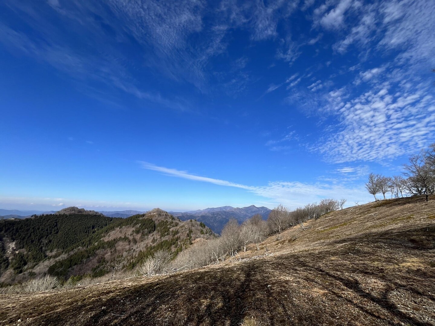秘境 南八人山⛰️ / OLD HOUSEさんの笠捨山の活動データ | YAMAP / ヤマップ