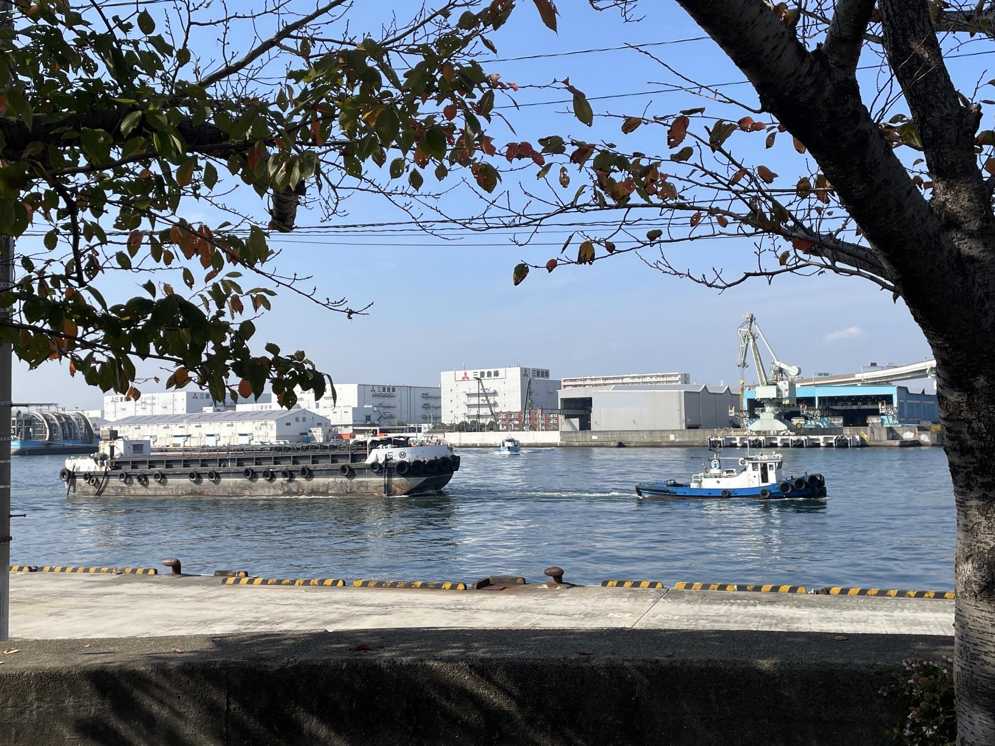 22-11-11 👟天保山散歩 / とらさんの大阪市の活動データ | YAMAP / ヤマップ