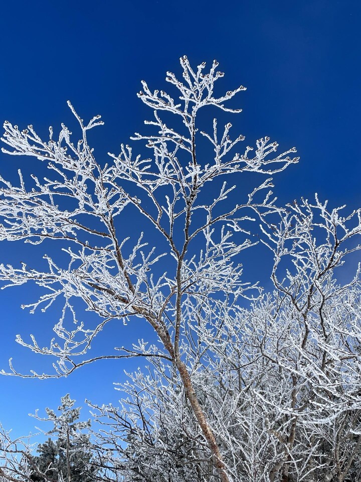 烏帽子岳登山口-地蔵峠-湯ノ丸山-烏帽子岳 周回コースの地図・登山ルート・登山口情報 | YAMAP / ヤマップ