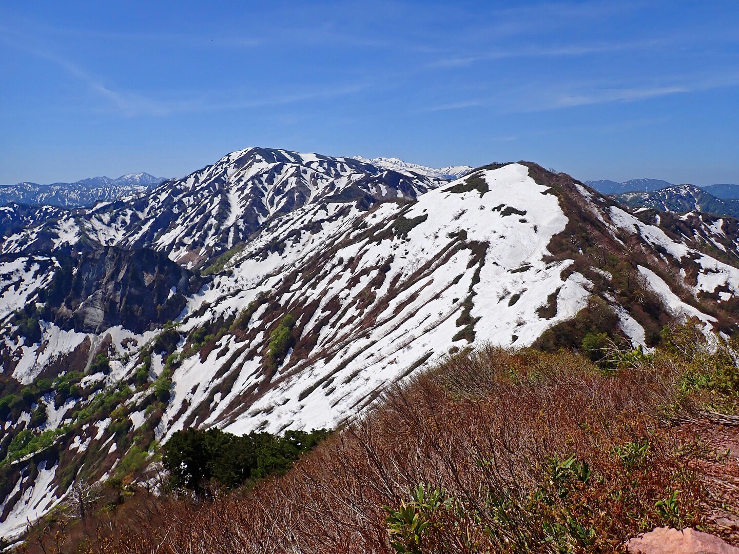 大笠山・奈良岳・見越山 / Haktさんの奈良岳（倉谷三方岳）・大門山の活動データ | YAMAP / ヤマップ