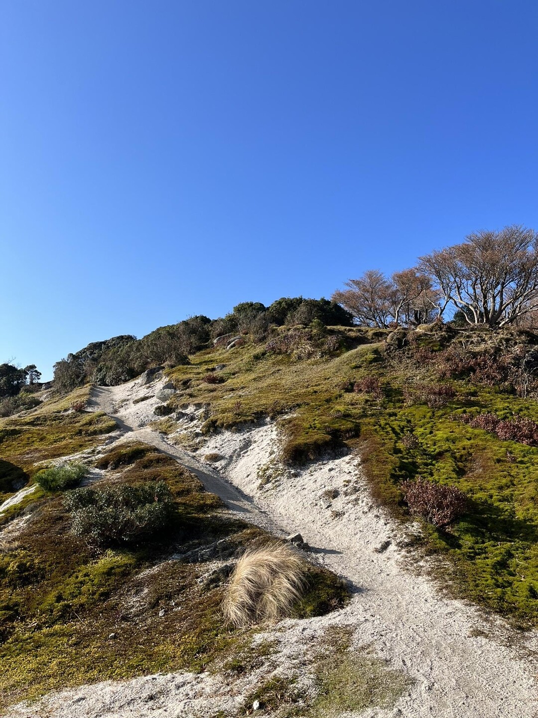 三池岳・北仙香山・仙香山・釈迦ヶ岳・岩ヶ峰・北山 / hideki．Hさんの釈迦ヶ岳の活動データ | YAMAP / ヤマップ