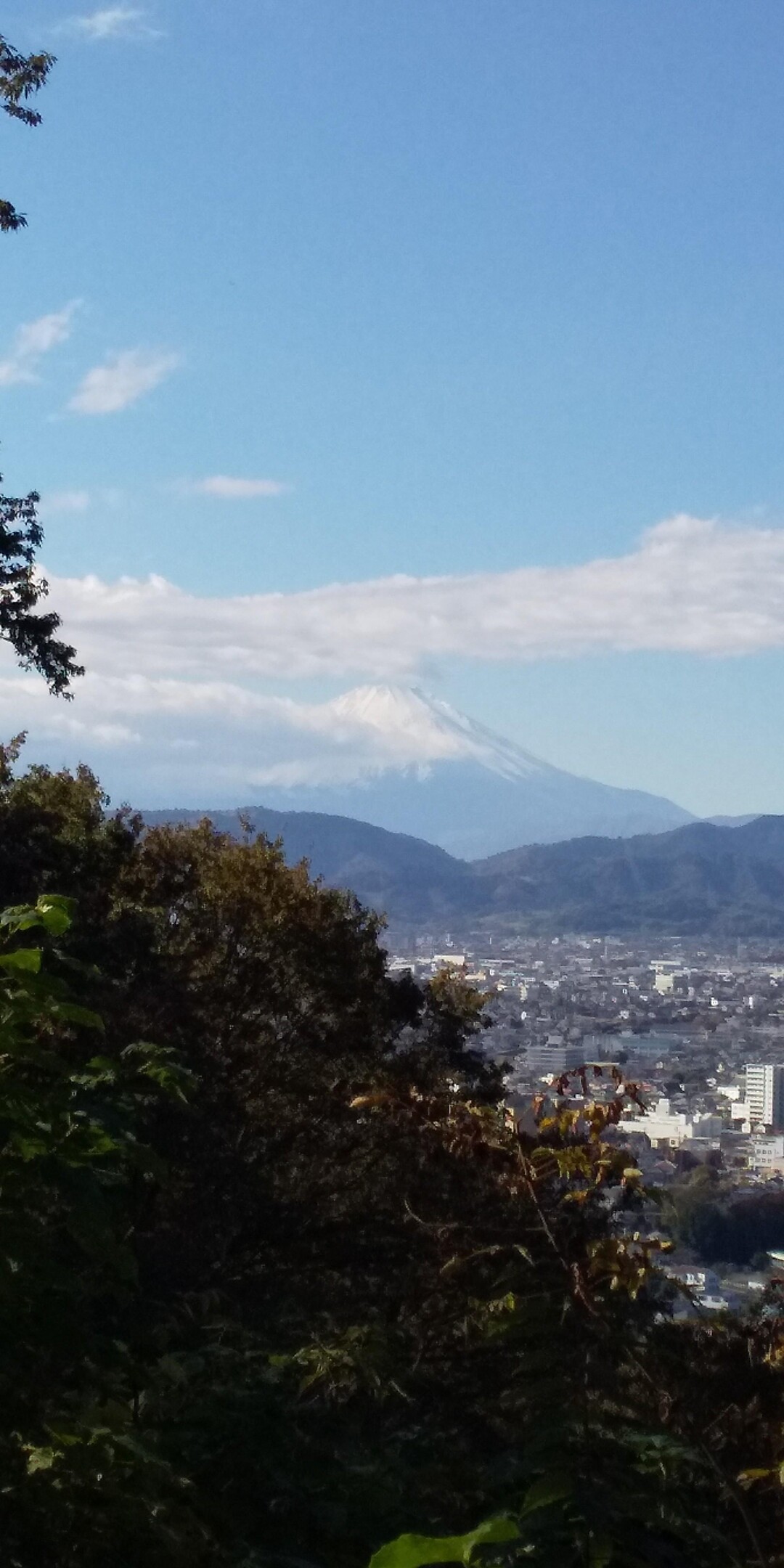 吾妻山・弘法山・権現山・浅間山 / kimichanさんの大山の活動データ | YAMAP / ヤマップ