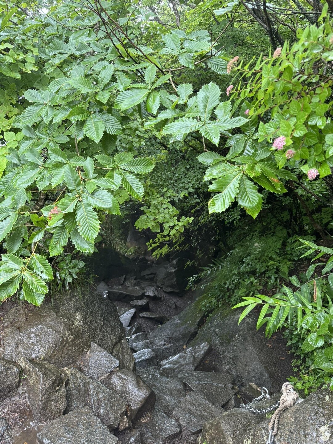 雨の筑波山training / kumiさんの筑波山の活動データ | YAMAP / ヤマップ