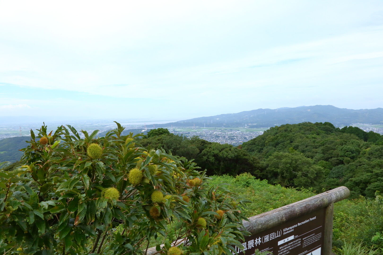 久しぶりの雁回山 / yavさんの雁回山の活動日記 | YAMAP / ヤマップ