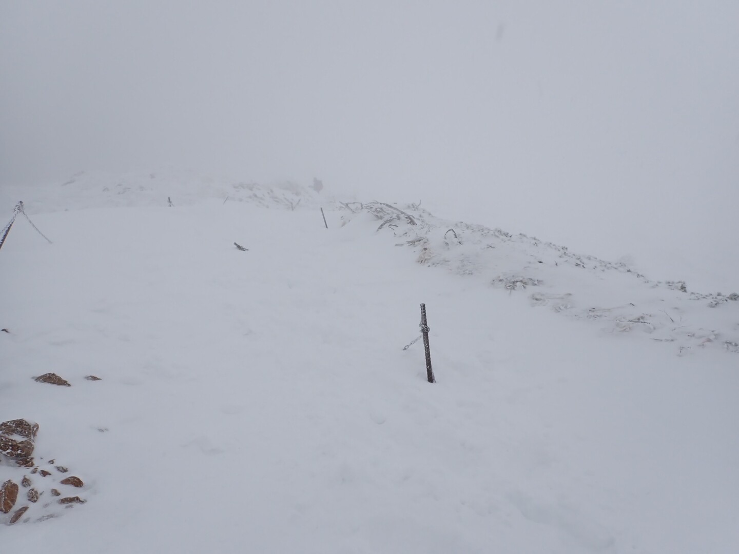 赤岳 撤退 / nakameguさんの八ヶ岳（赤岳・硫黄岳・天狗岳）の活動データ | YAMAP / ヤマップ
