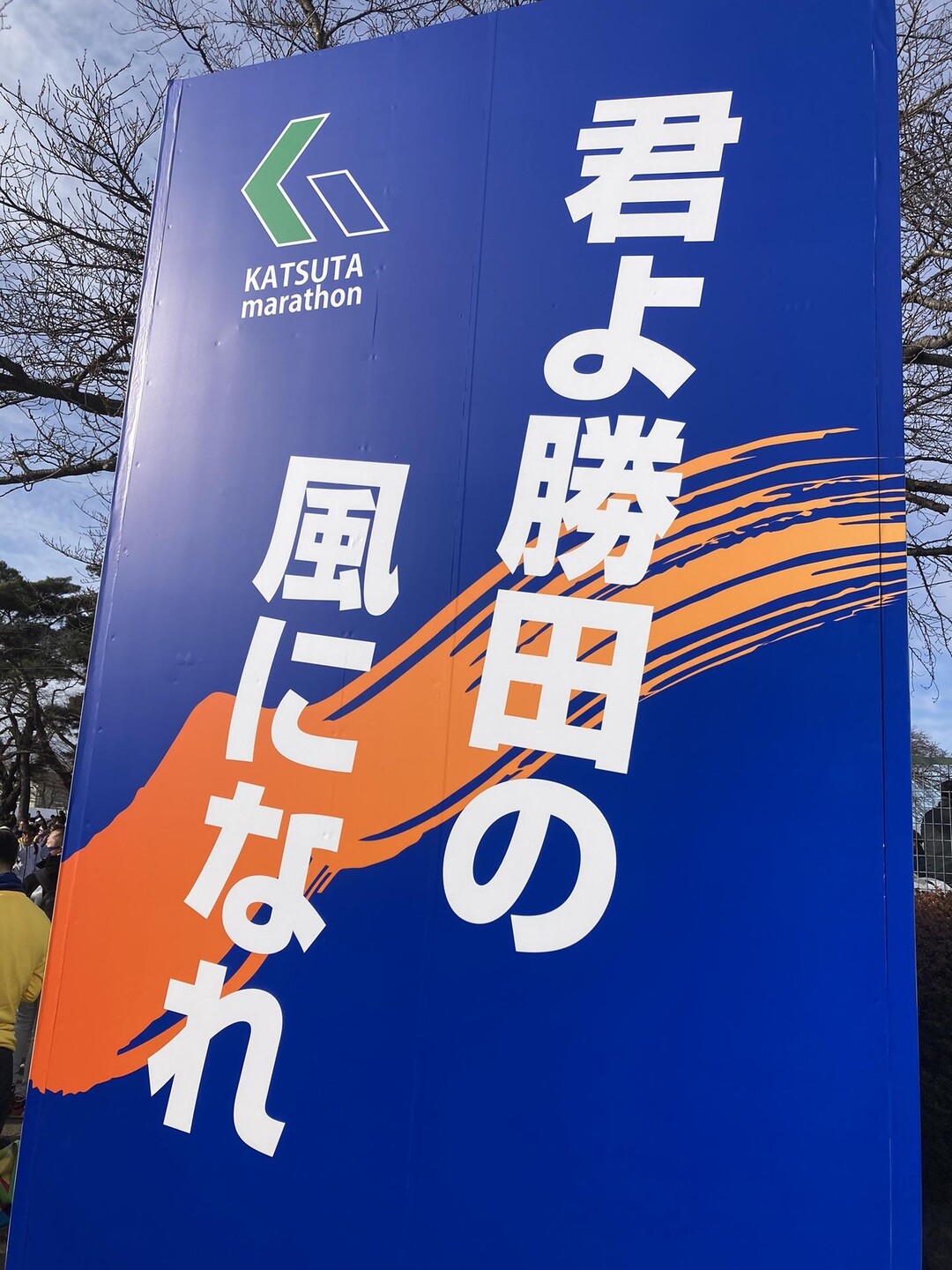 勝田全国マラソンDNF / ゆうこさんのランニングの活動データ | YAMAP / ヤマップ