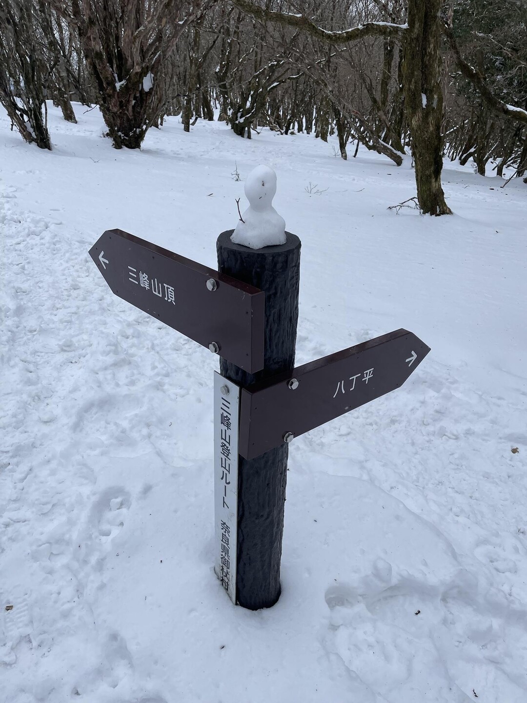 雪山山歩⛄️三峰山・平倉峰 / Daiさんの三峰山・学能堂山・栗ノ木岳の活動データ | YAMAP / ヤマップ