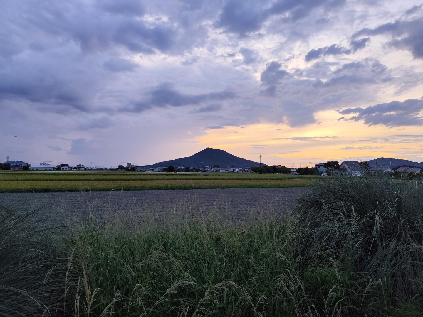 ランニング-2024-09-15 / Kazhiさんのランニングの活動データ | YAMAP / ヤマップ