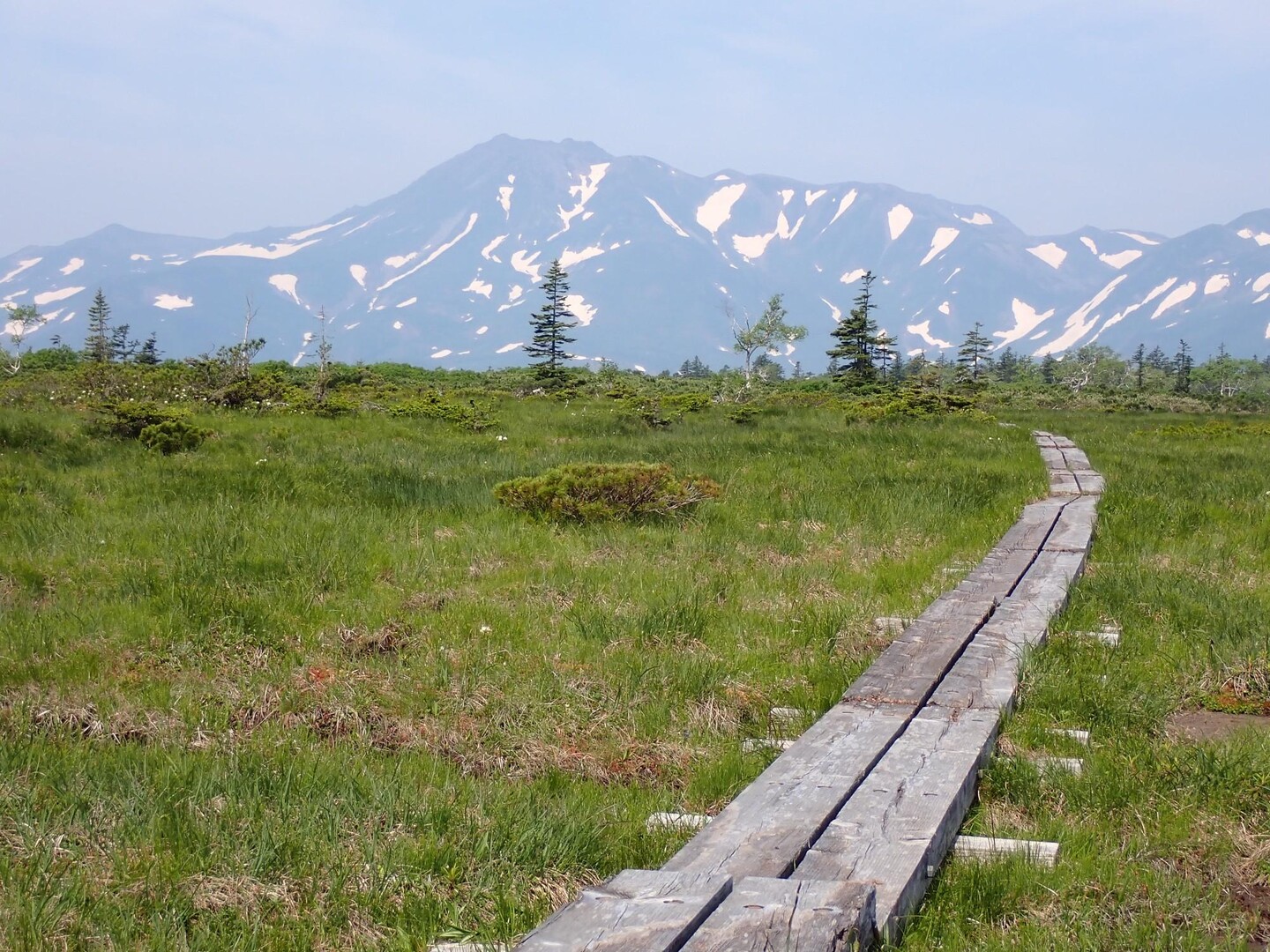 五色岳・化雲岳・忠別岳 / moon-riverさんの大雪山系・旭岳・トムラウシの活動データ | YAMAP / ヤマップ