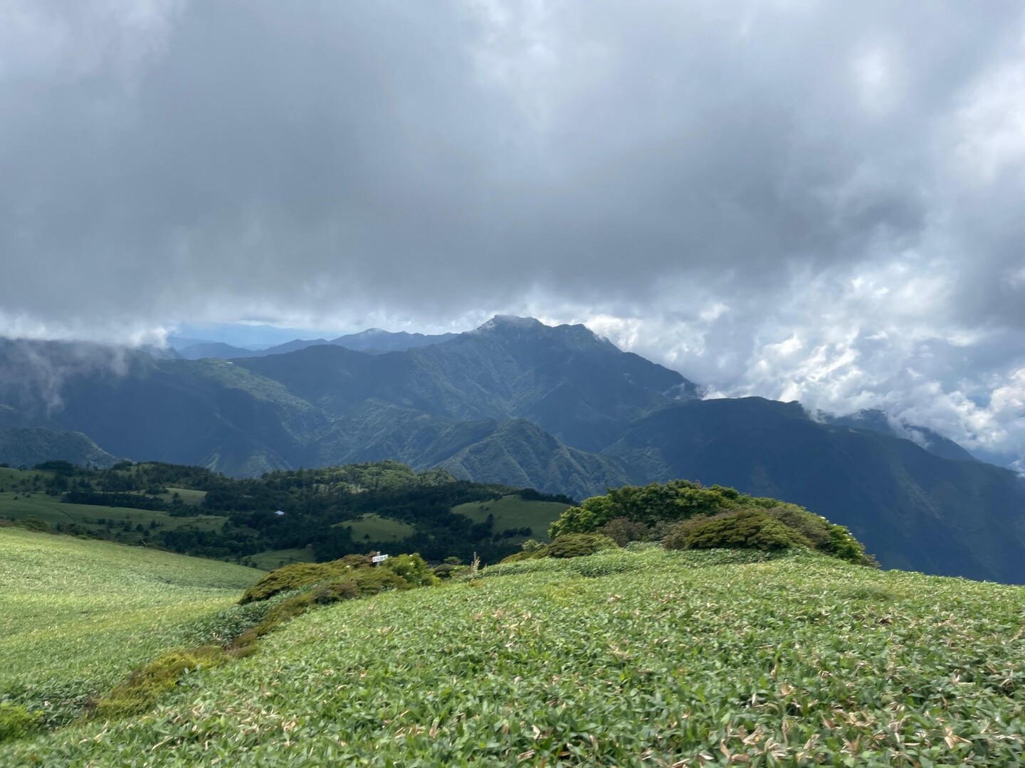 男山・瓶ヶ森・西黒森 / aki-kiyoさんの瓶ヶ森・伊予富士の活動データ | YAMAP / ヤマップ