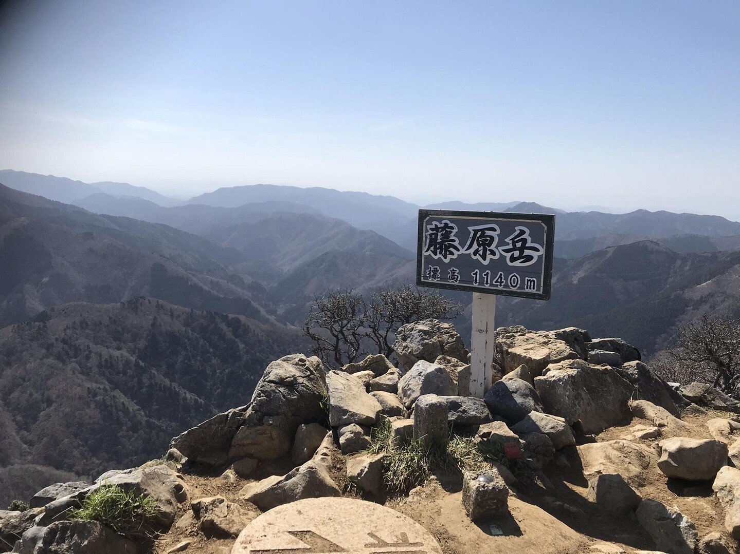 左太もも筋肉痛と福寿草と両手に花の藤原岳 / issanさんの藤原岳・御池岳の活動データ | YAMAP / ヤマップ