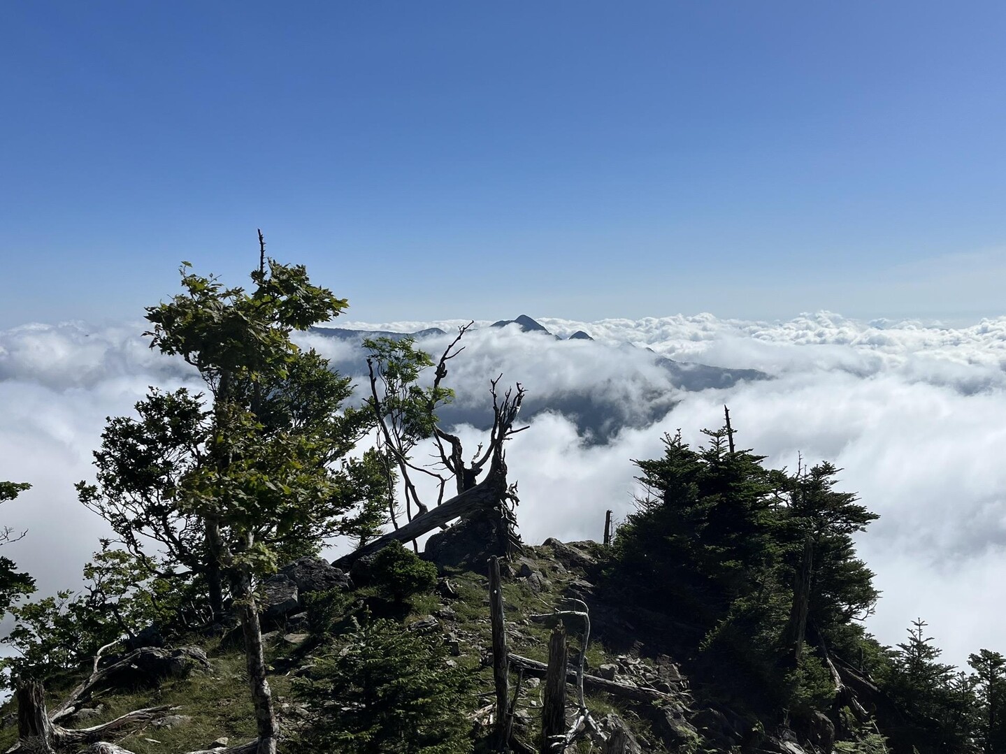 弥山・八経ヶ岳 / yomshtさんの八経ヶ岳の活動データ | YAMAP / ヤマップ