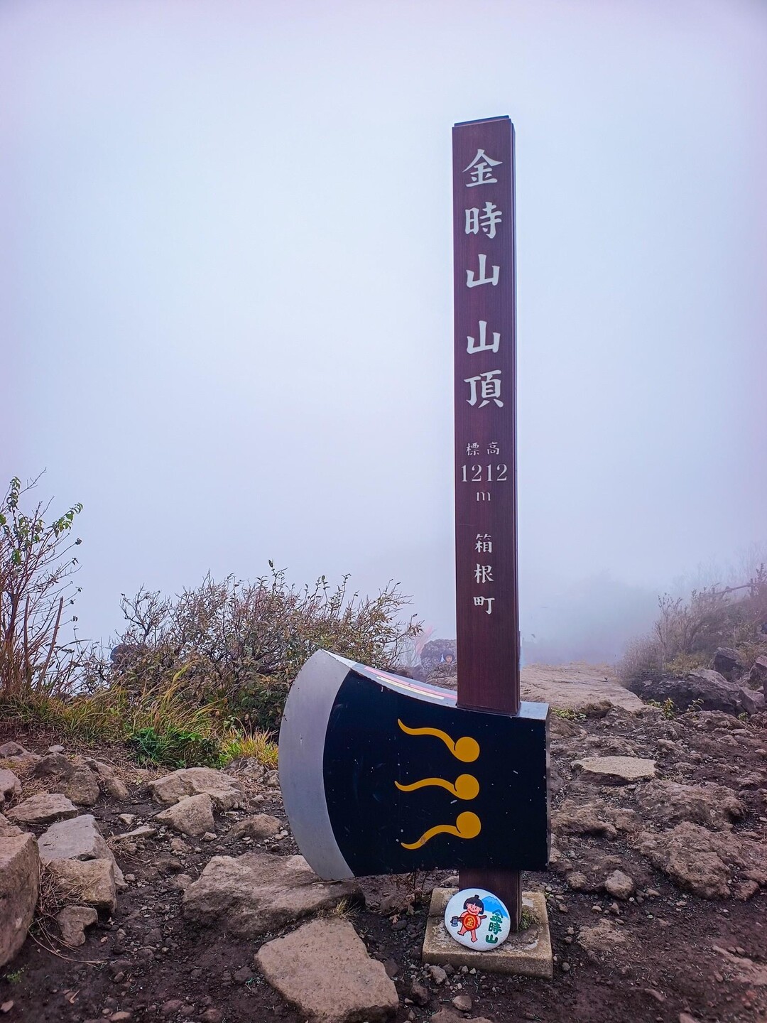 ばてばて金時山ピストン / nao.okさんの金時山・明神ヶ岳の活動データ | YAMAP / ヤマップ