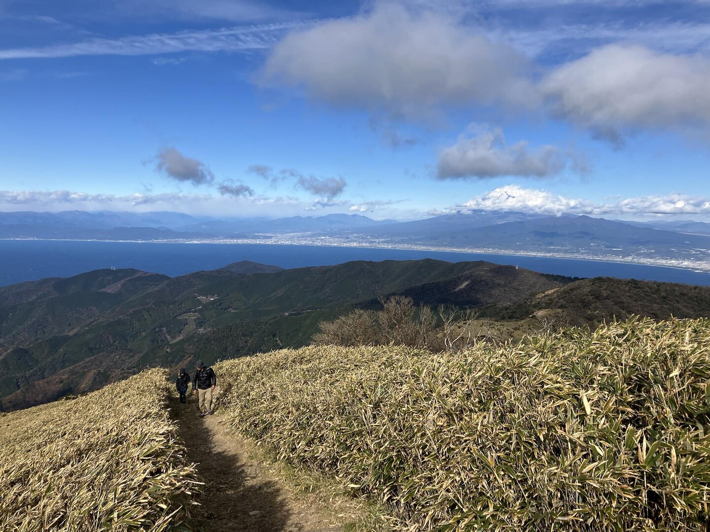 金冠山・小達磨山・達磨山 / Fumi山さんの金冠山・達磨山・葛城山の活動データ | YAMAP / ヤマップ
