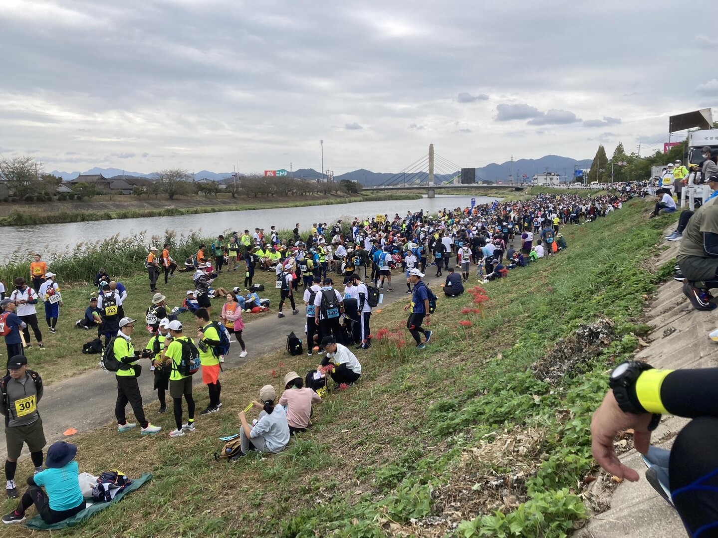 行橋別府100kmウォーク-2023-10-07 / えっきぃさんの行橋～別府100キロウォークの活動データ | YAMAP / ヤマップ