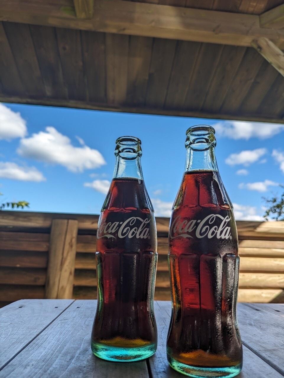 夏と秋の狭間、寒風山⛰️ / SACHIさんの瓶ヶ森・伊予富士の活動データ | YAMAP / ヤマップ