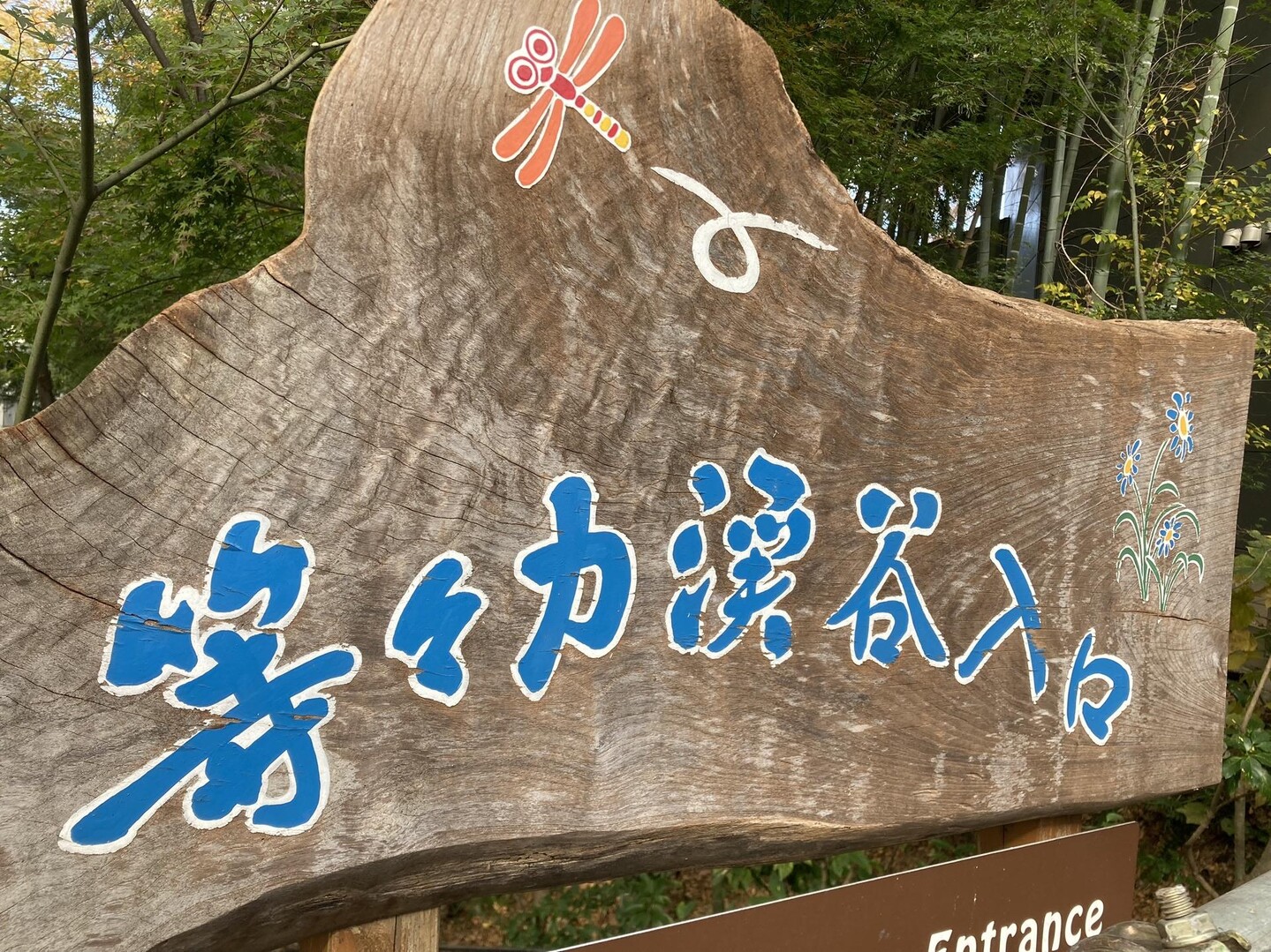 日曜日は後輩が自然に触れたいと言うので ... / misaさんのモーメント | YAMAP / ヤマップ