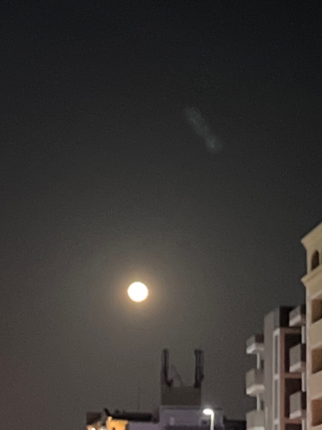 ウォーキング-2022-04-17 / kaoruさんのウォーキングの活動データ | YAMAP / ヤマップ