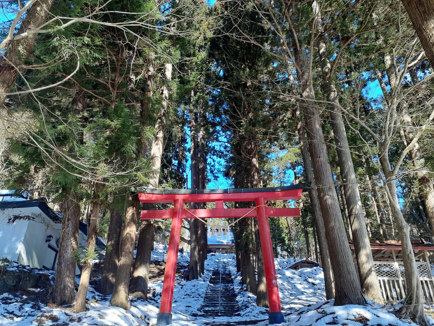 万松寺山-2022-2-18 / aiさんの北上市の活動データ | YAMAP / ヤマップ