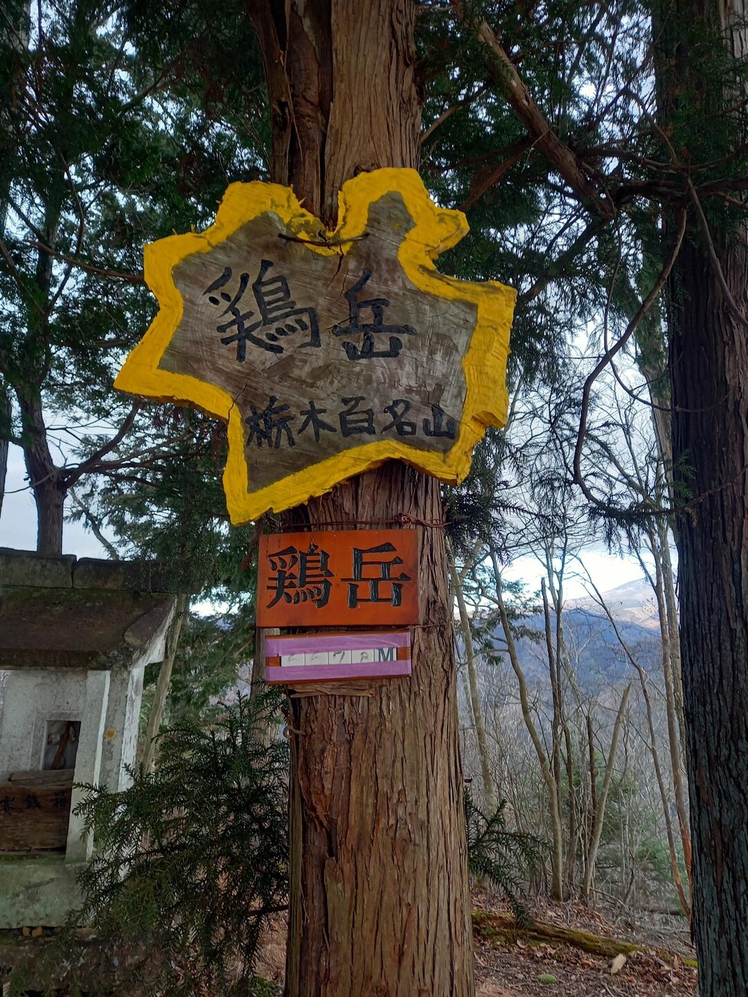 鶏岳 031 SL汽笛がいい感じ / しげぽんさんの鶏岳の活動日記 | YAMAP / ヤマップ