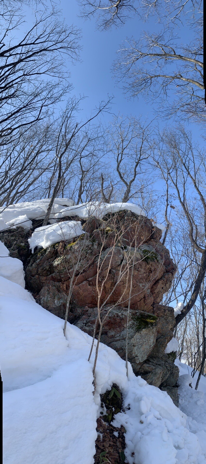旭川市-2022-03-13 キトウシ山 ※なんかログとれてない / tar_cyさんの旭川市の活動データ | YAMAP / ヤマップ