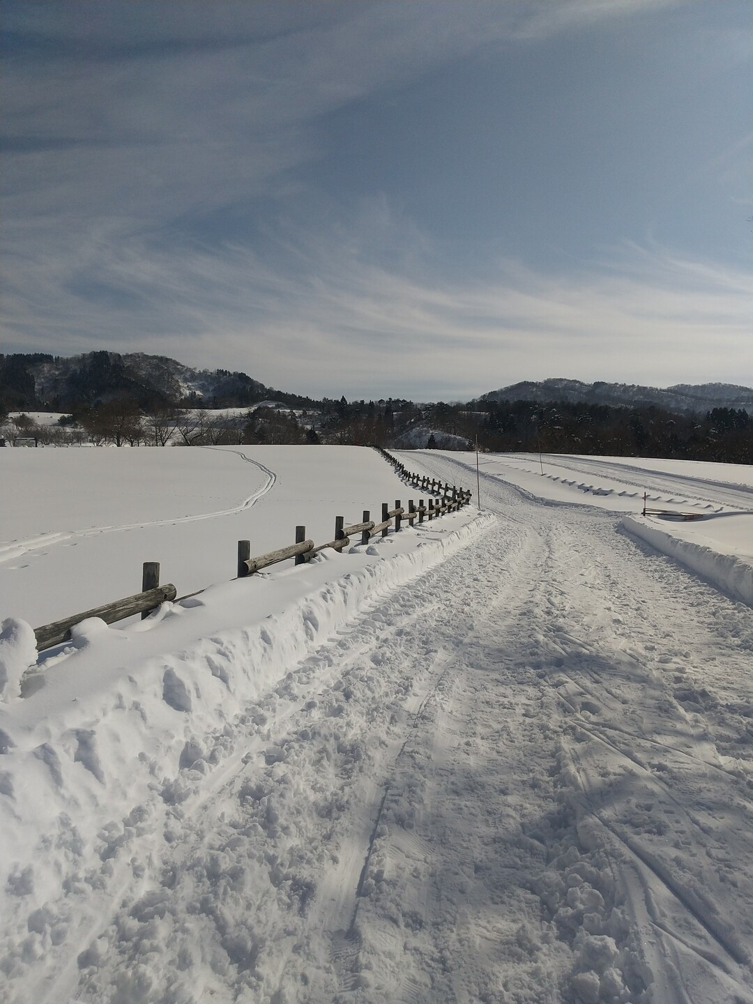 三ノ峠山サイコー😃⤴️⤴️ / marykateさんの鋸山・三ノ峠山・八方台の活動データ | YAMAP / ヤマップ