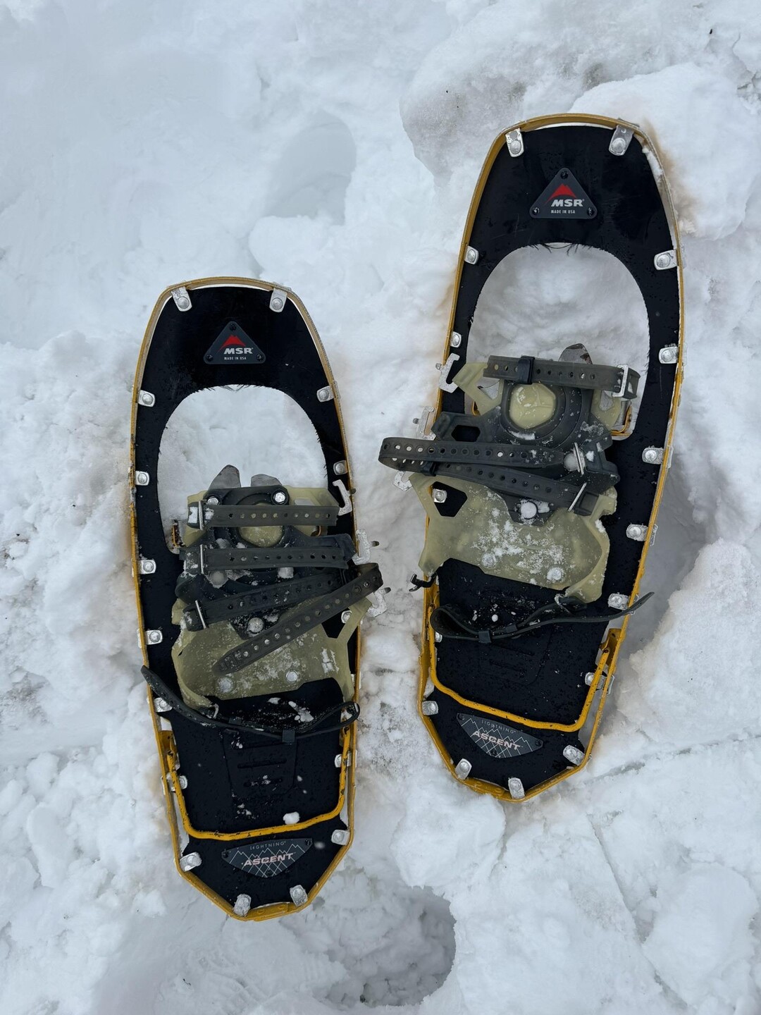 MSRくん ️11年間ご苦労様でした、そしてありがとう〜‼ / あっくんさんの深入山の活動データ | YAMAP / ヤマップ