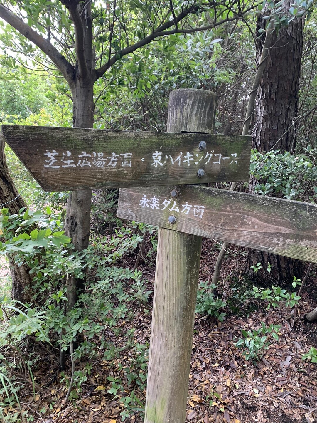 雨山-2024-06-30 / NO-KIさんの雨山の活動データ | YAMAP / ヤマップ