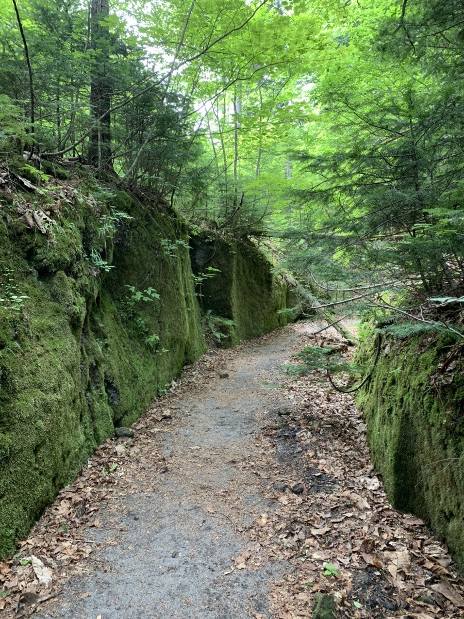 風不死岳 / rurutetuさんの樽前山・風不死岳の活動データ | YAMAP / ヤマップ