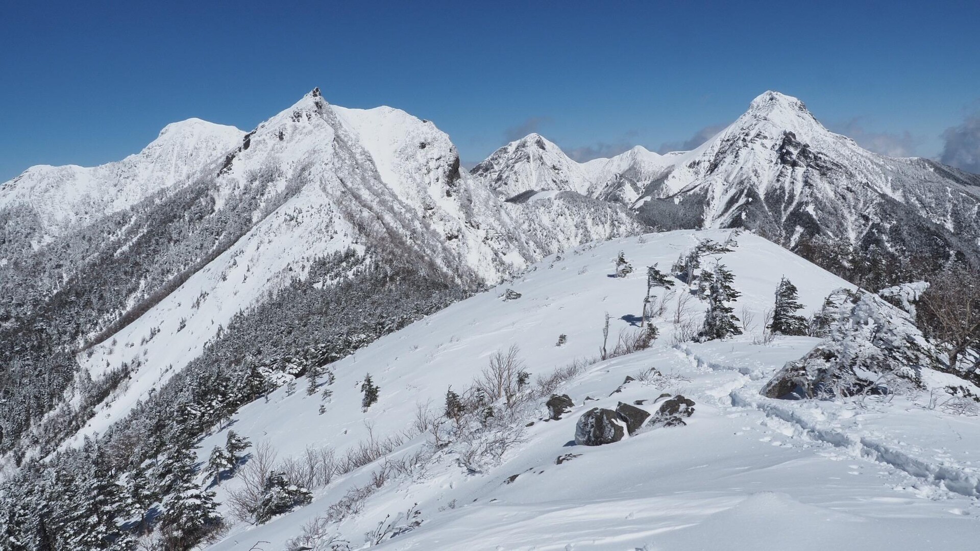 天女山・前三ッ頭・三ツ頭 / konkonさんの八ヶ岳（赤岳・硫黄岳・天狗岳）の活動データ | YAMAP / ヤマップ