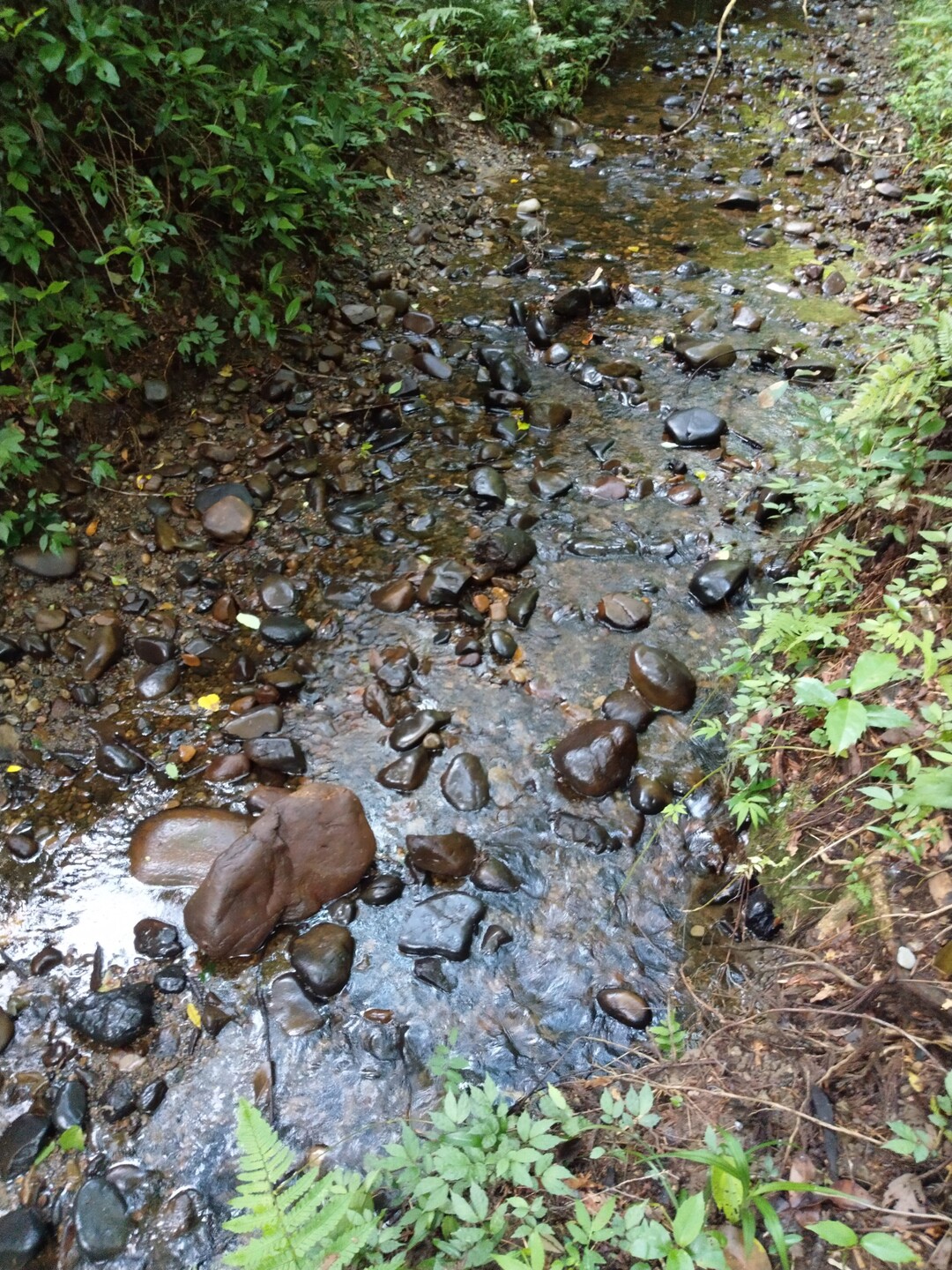 k54さんの投稿したフィールドメモ | YAMAP / ヤマップ