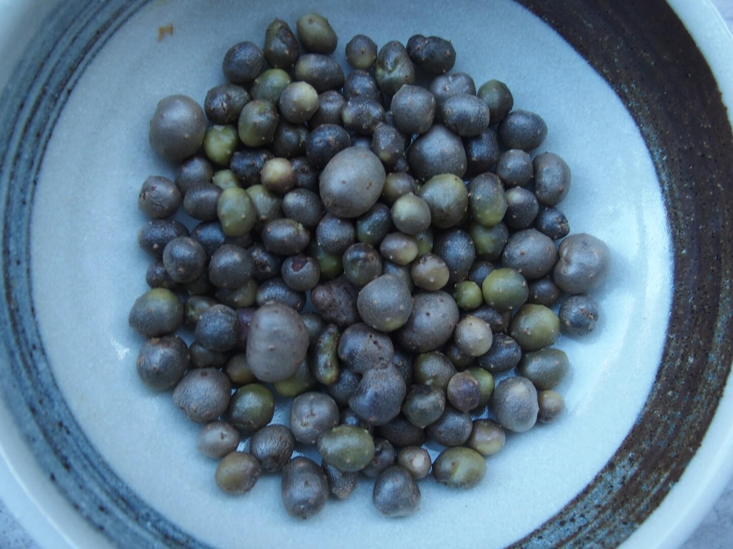 タダでは帰らない~よ(笑)🤗 約2時... / masazyさんのモーメント | YAMAP / ヤマップ