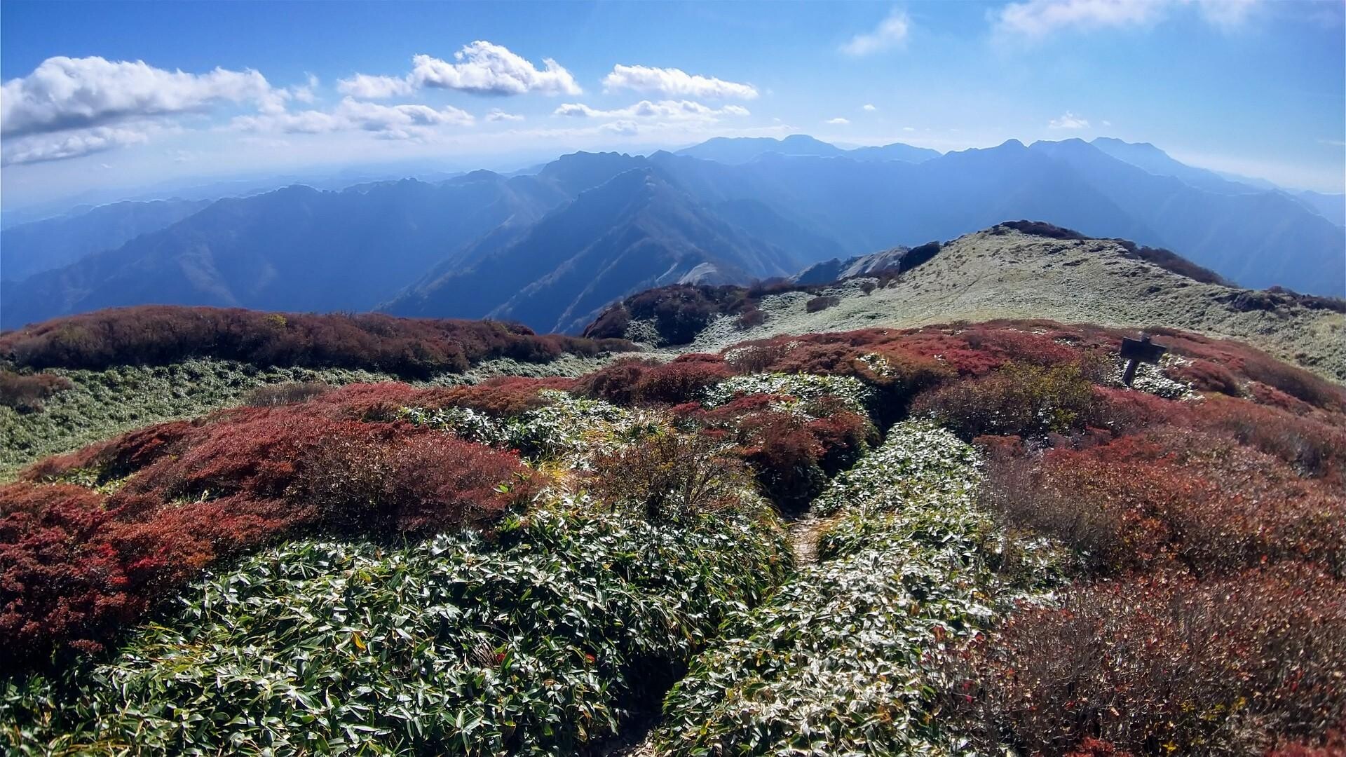 寒風山・笹ヶ峰・ちち山・冠山 / goemonさんの笹ヶ峰・寒風山・平家平の活動データ | YAMAP / ヤマップ