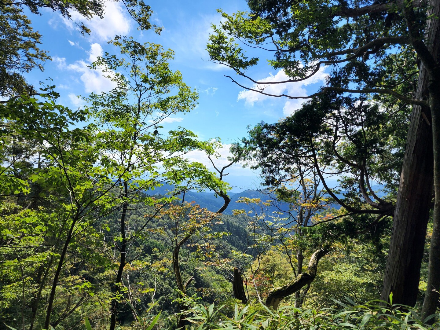 Kohjiさんの投稿したフィールドメモ | YAMAP / ヤマップ