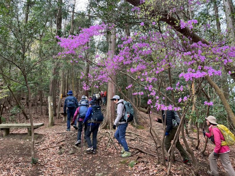 音羽山deお茶会 https://kyo... / 京都趣味登山会さんのモーメント | YAMAP / ヤマップ