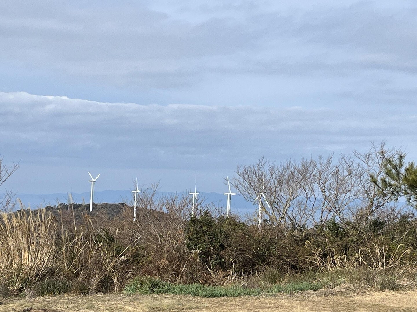 千葉山(せんば山) / greenmoonきくちゃんさんの鷲ヶ峰の活動データ | YAMAP / ヤマップ