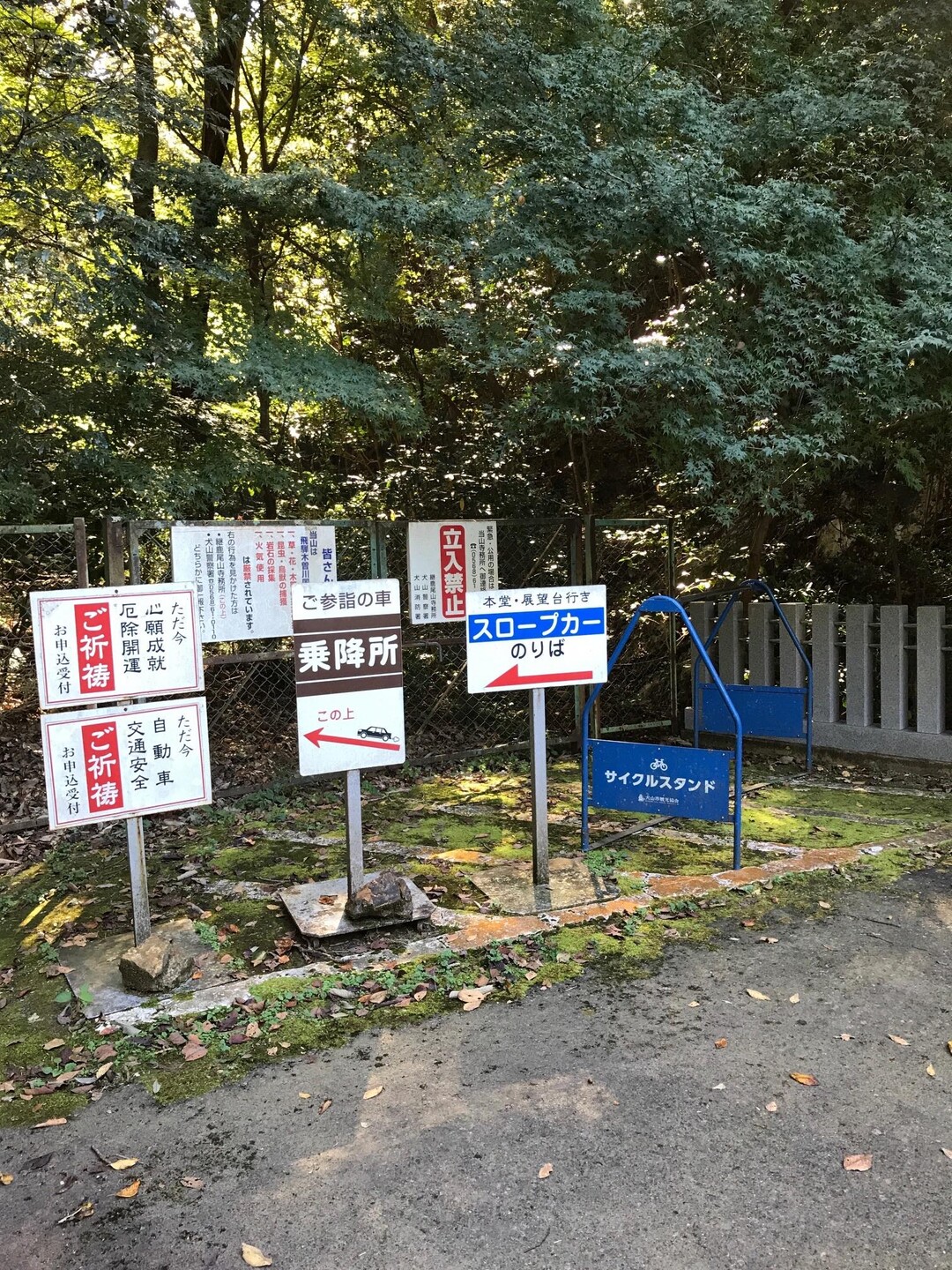 Rieさんの投稿したフィールドメモ | YAMAP / ヤマップ